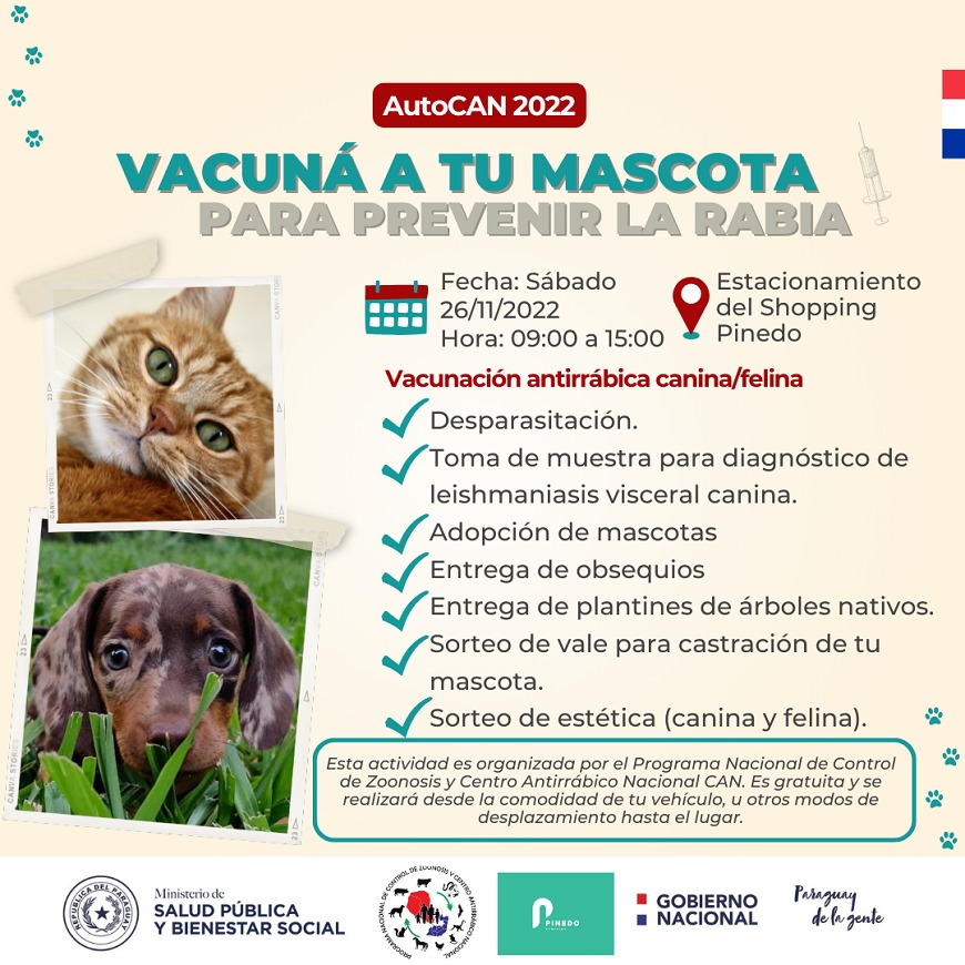 Cuando Los Perros Deben Vacunarse Contra La Rabia Cuando Los Perros Deben Vacunarse Contra La Rabia